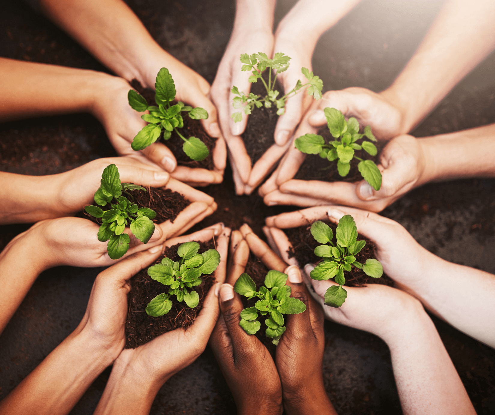 Nurturing Growth – Stillpoint at Beckside Nurturing Growth – Stillpoint at Beckside