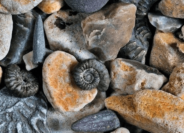 Enneagram: An Ancient and Ever New Wisdom Tool – Stillpoint at Beckside